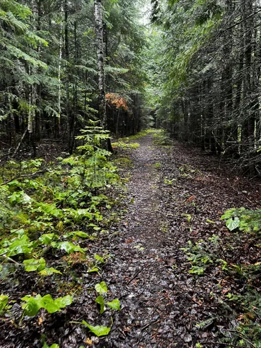 Best Hikes and Trails in Aaron Provincial Park | AllTrails