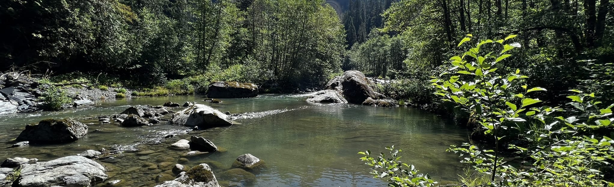 Sultan River Canyon Trail - Washington#N# | AllTrails