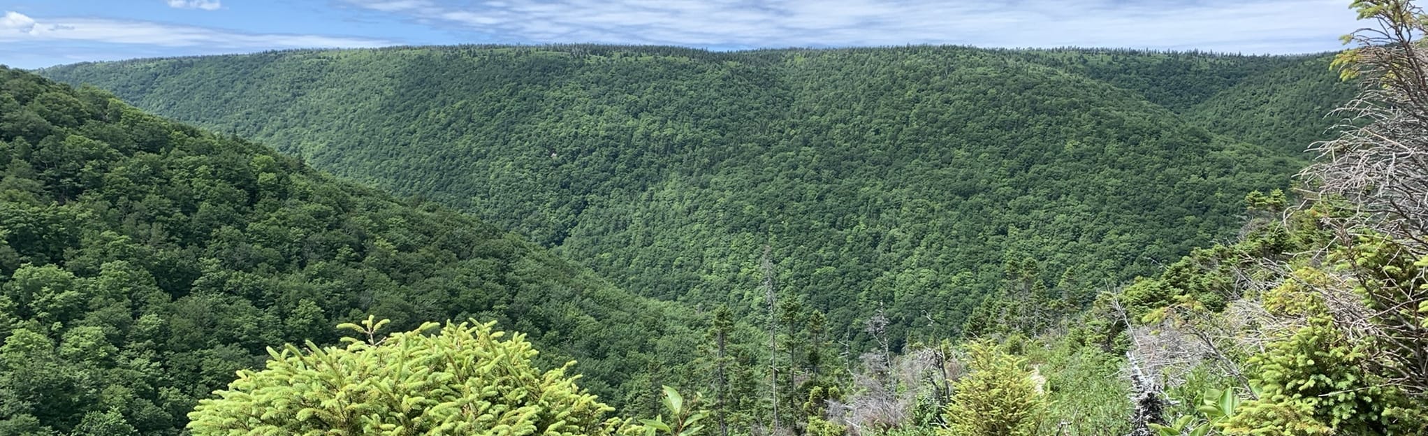 Beulach Ban Falls and Aspy Trail - Nova Scotia, Canada | AllTrails