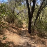 Tenaja Canyon via Tenaja Trail, California - 213 Reviews, Map | AllTrails