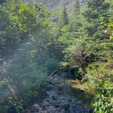 Great Gulf Trail, New Hampshire - 157 Reviews, Map | AllTrails
