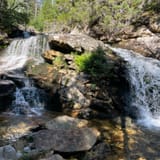 Great Gulf Trail, New Hampshire - 157 Reviews, Map | AllTrails
