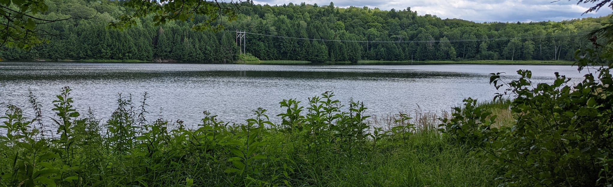 Milton Town Pond Trail, Vermont - 484 Reviews, Map | AllTrails