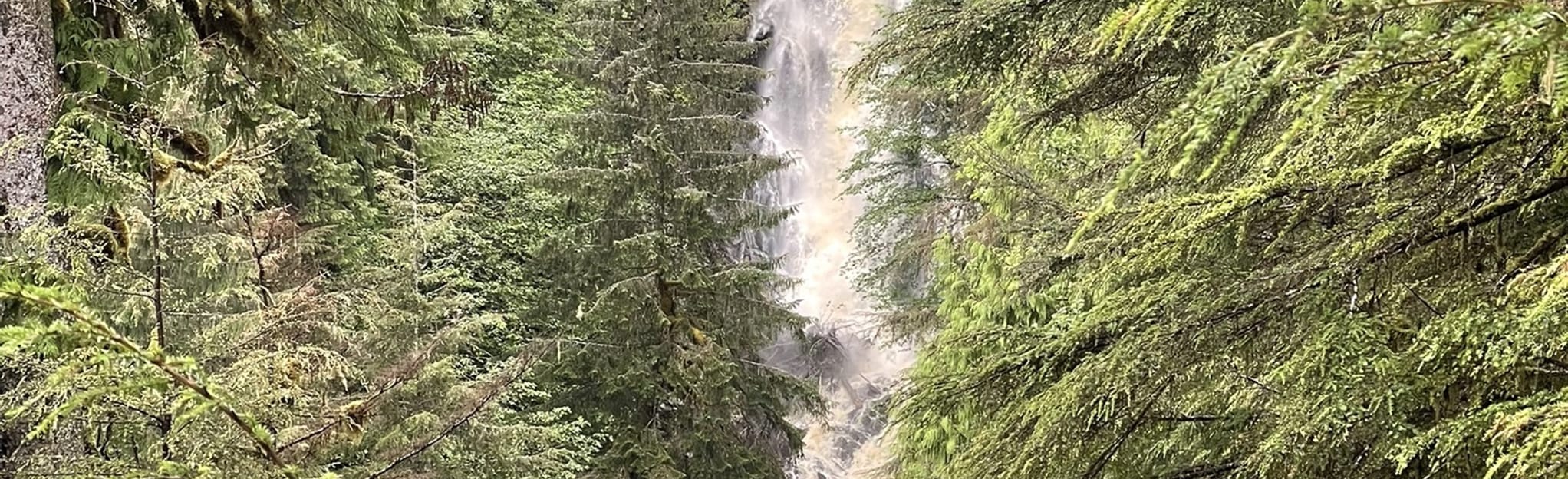 Rainbow Falls Trail: 20 Reviews, Map - Alaska | AllTrails