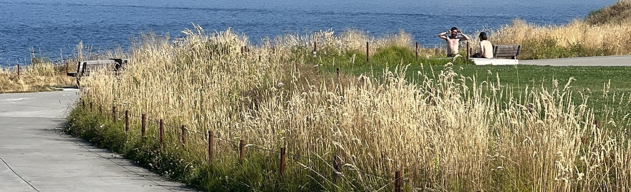 Cambria Legacy Lawn Path: 371 Reviews, Map - Washington | AllTrails