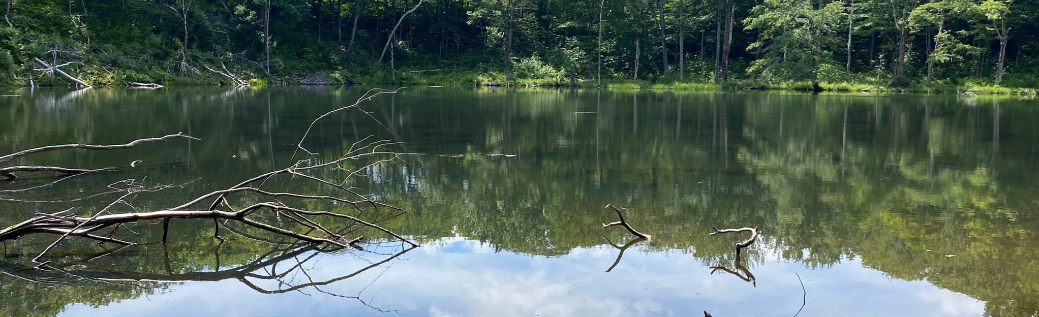 Cranberry Pond, Twin Ponds via Shaker Trail and TCT Trail ...