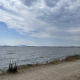 Bay Farm Island Loop Trail, California - 995 Reviews, Map | AllTrails