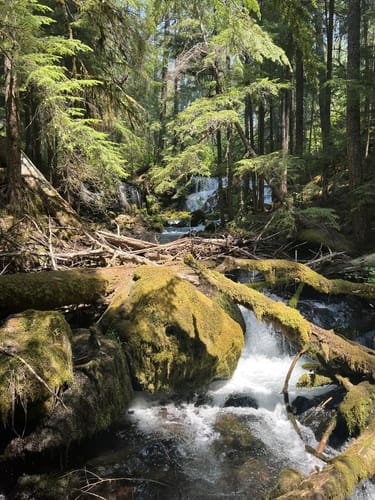 Best Hikes and Trails in Prospect State Scenic Viewpoint | AllTrails