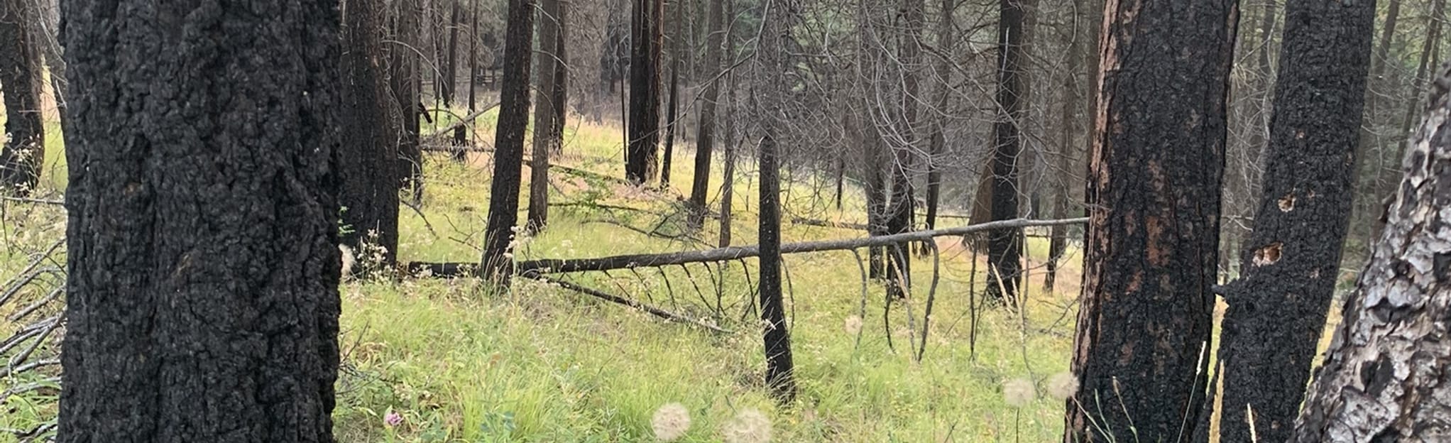 Lakestone North Loop, British Columbia, Canada - 25 Reviews, Map ...