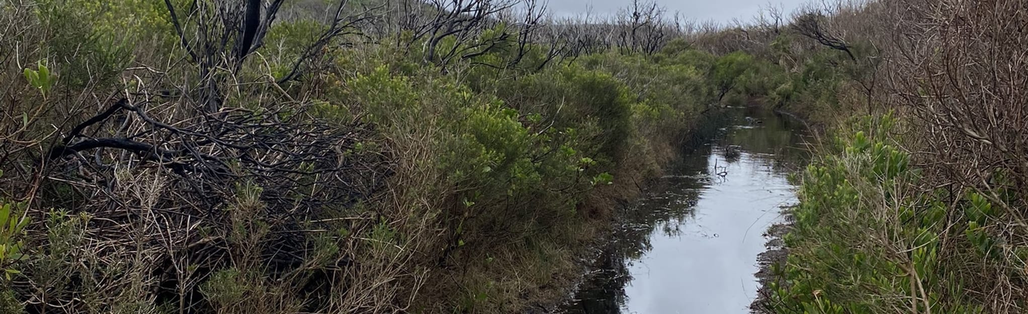 Cape Solander to Cronulla: 131 Reviews, Map - New South Wales ...