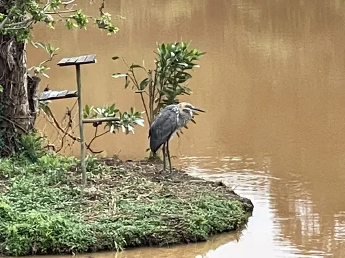 Best Lake Trails in Ballito | AllTrails