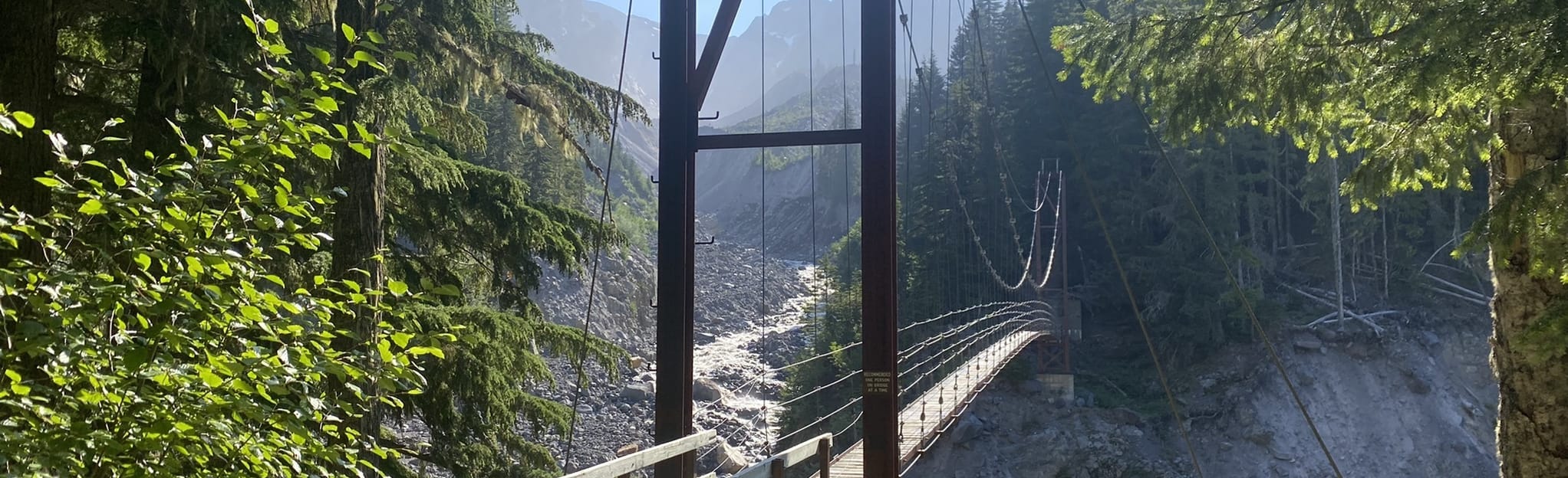 Tahoma Creek Suspension Bridge, Washington - 104 Reviews, Map | AllTrails
