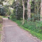 Bulimba Creek Bikeway, Queensland, Australia - 59 Reviews, Map | AllTrails