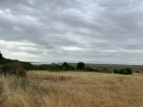 Best Hikes and Trails in Fingringhoe Wick Wildlife Reserve | AllTrails