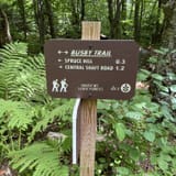 Busby Trail, Spruce Hill Lost Pond and Blackburnian Loop, Massachusetts ...