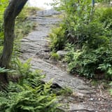 Busby Trail, Spruce Hill Lost Pond and Blackburnian Loop, Massachusetts ...