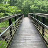Cache River and Heron Pond State Natural Areas, Illinois - 142 Reviews ...