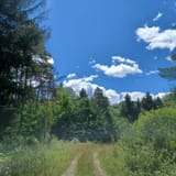 Mahoning Shadow Trail, Pennsylvania - 252 Reviews, Map | AllTrails