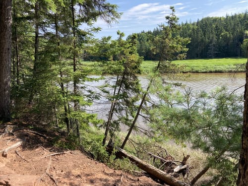 Las mejores rutas en Red Point Provincial Park | AllTrails