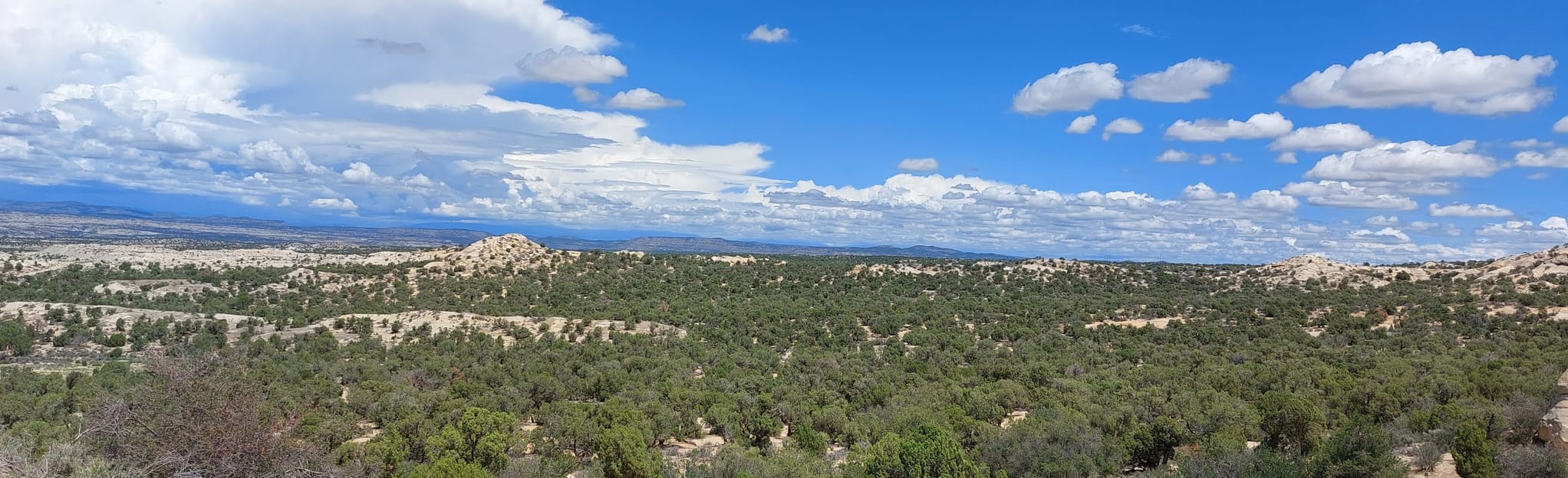 Tiger Pond, New Mexico - 40 Reviews, Map | AllTrails