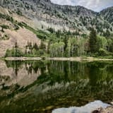Pittsburg Lake Trail, Utah - 263 Reviews, Map | AllTrails