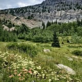 Pittsburg Lake Trail, Utah - 263 Reviews, Map | AllTrails