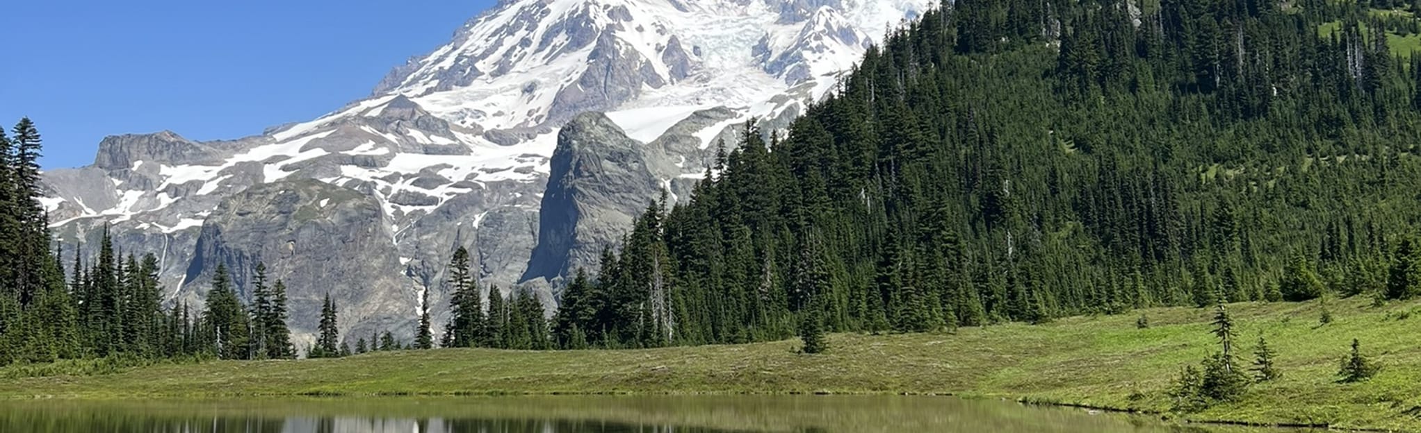 Saint Andrew's Creek Trail: 6 Reviews, Map - Washington | AllTrails