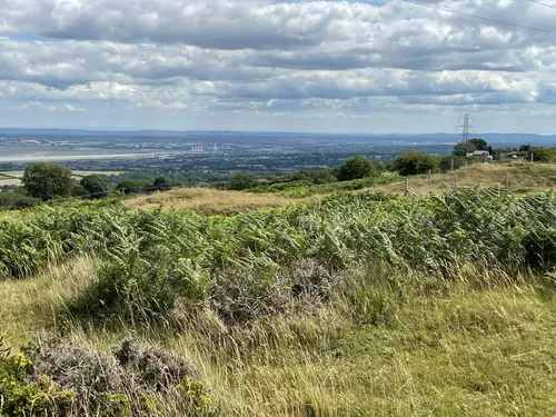 10 Best Trails, Walks, and Paths in Flintshire | AllTrails