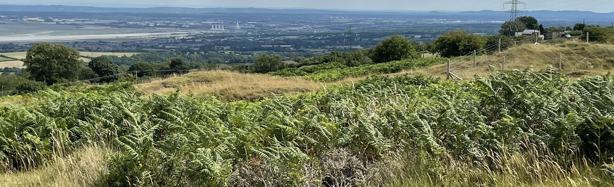 Halkyn Mountain Circular, Flintshire, Wales - 107 Reviews, Map | AllTrails