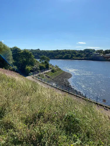 10 Best Trails, Walks, and Paths in Newcastle upon Tyne | AllTrails