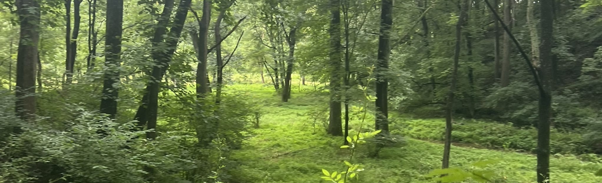 Falling Branch Trail to Kilgore Falls: 1072 Reviews, Map - Maryland ...