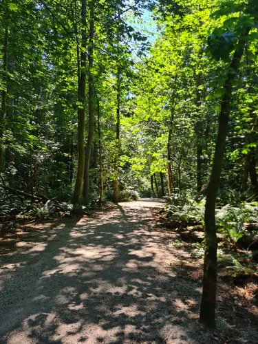 Best Hikes and Trails in UBC Endowment Lands | AllTrails