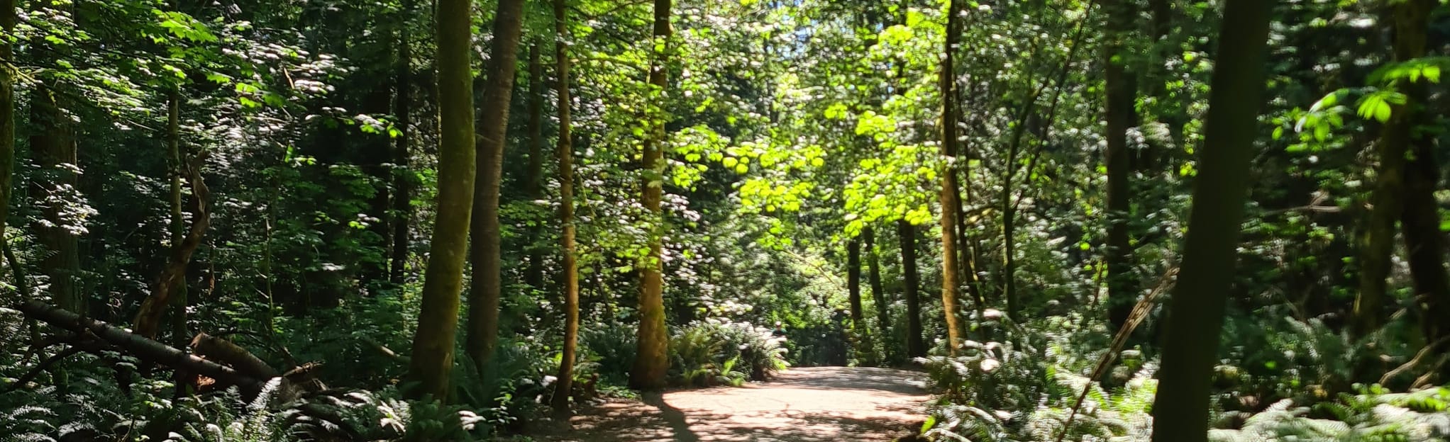 Council, Salish and Clinton Trail, British Columbia, Canada - 350 ...