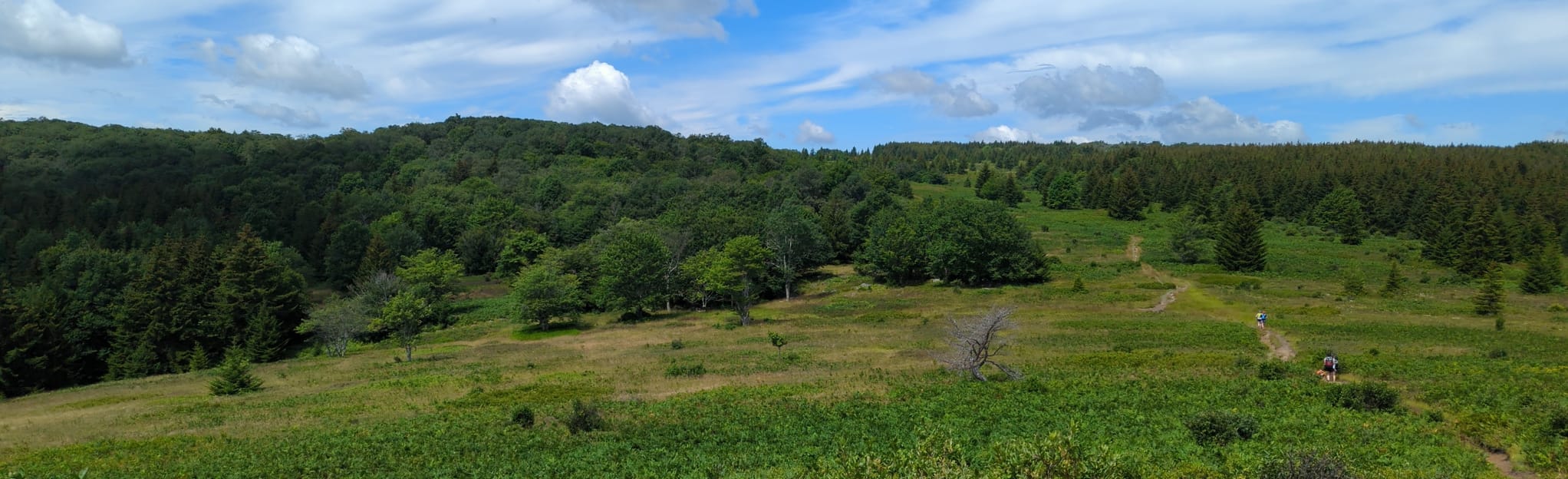 Bear Rocks and Lions Head Loop - West Virginia | AllTrails