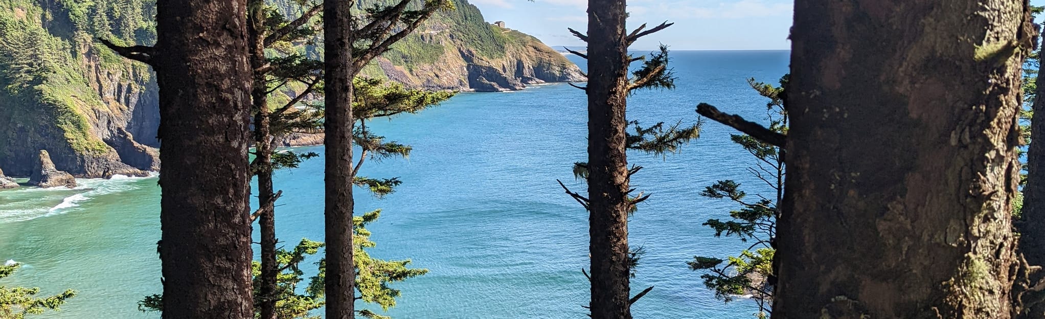 Heceta Head Lighthouse to Hobbit Beach | Map, Guide - Oregon | AllTrails