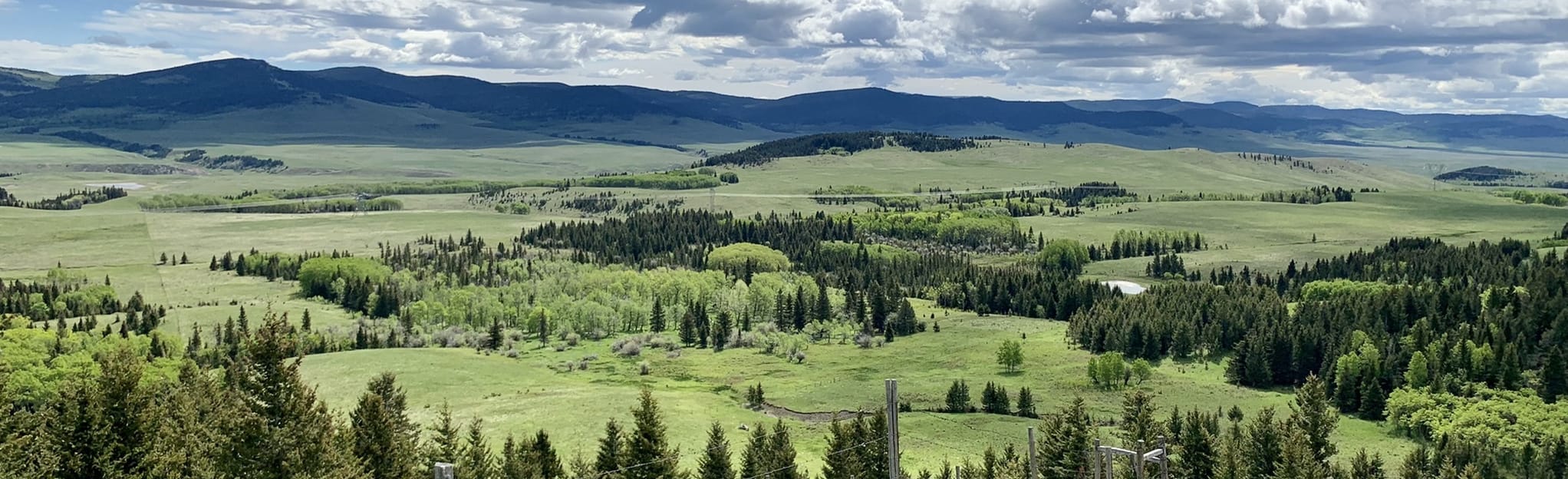 Black Mountain and Whaleback Ridge Trail: 17 foto's - Alberta, Canada ...
