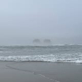 Barview Jetty Beach Walk, Oregon - 109 Reviews, Map | AllTrails