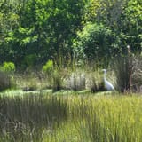 North Anclote River Nature Park Trail, Florida - 186 Reviews, Map ...