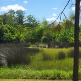 North Anclote River Nature Park Trail, Florida - 186 Reviews, Map ...