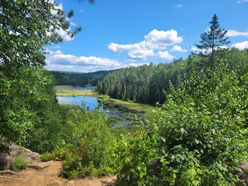 10 Best Hikes and Trails in Algonquin Provincial Park | AllTrails