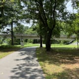 Two Rivers Park Trail, Arkansas - 738 Reviews, Map | AllTrails