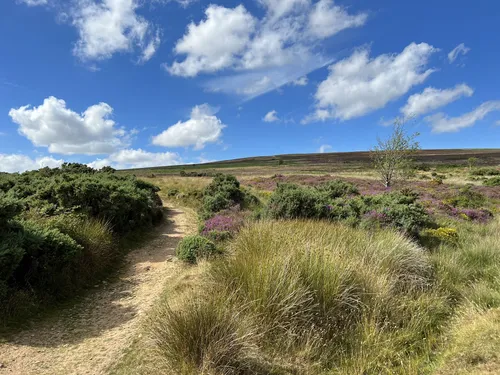 10 Best Hikes and Trails in Exmoor National Park | AllTrails