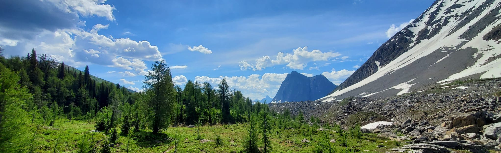 Helmet Creek and Falls, Alberta, Canada - 117 Reviews, Map | AllTrails