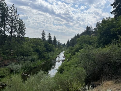 Best Hikes and Trails in High Bridge Park | AllTrails