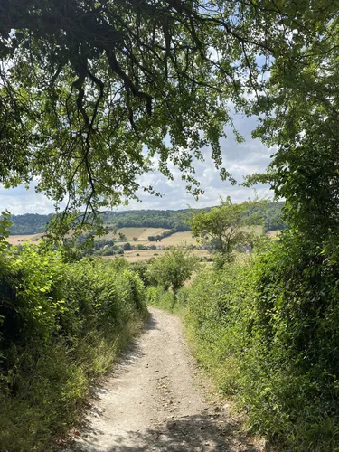 Best 10 Hikes and Trails in Chiltern Hills Area of Outstanding Natural ...