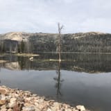 Haystack Lake Trail, Utah - 107 Reviews, Map | AllTrails