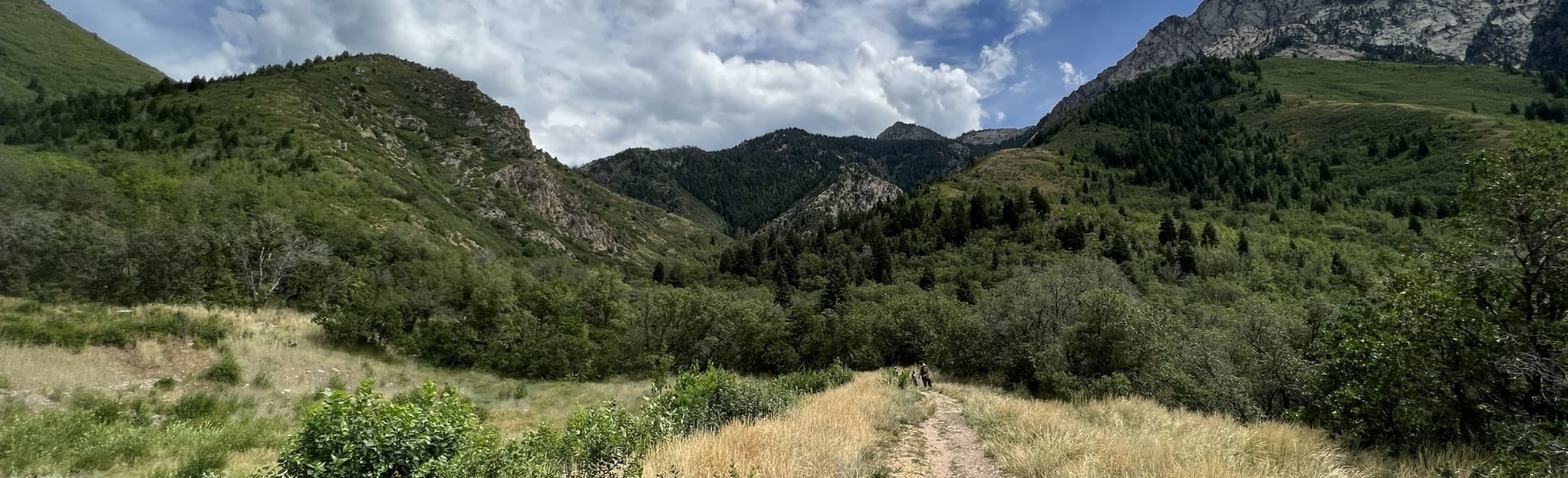 Neff's Canyon Loop, Utah - 2,349 Reviews, Map | AllTrails