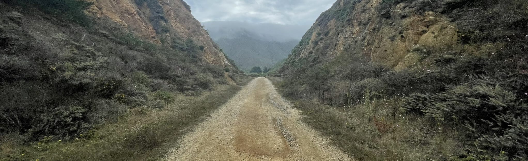 Old Colma Road Loop: 1546 Reviews, Map - California | AllTrails