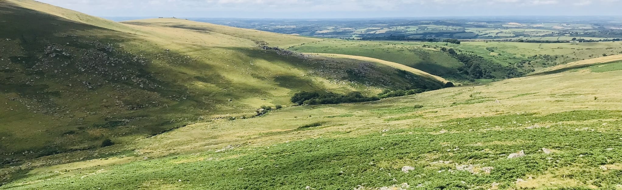 Black Down, High Willhays, and Oke Tor Circular: 2 Reviews, Map - Devon ...