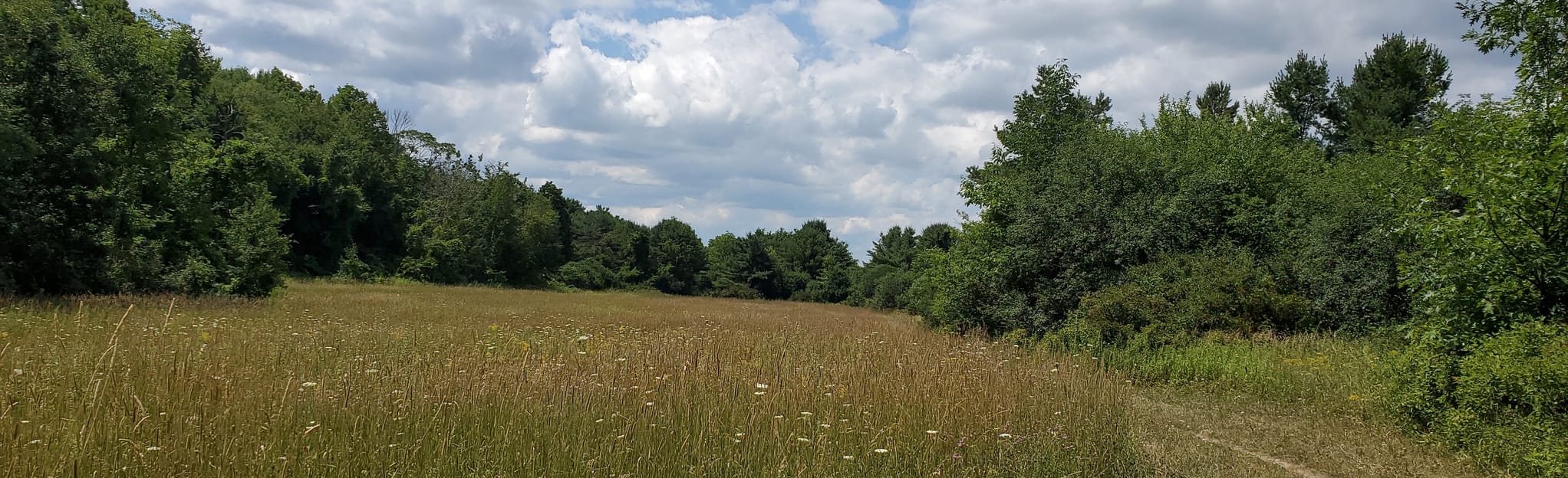 Thatcher Park Long Path Loop - New York | AllTrails